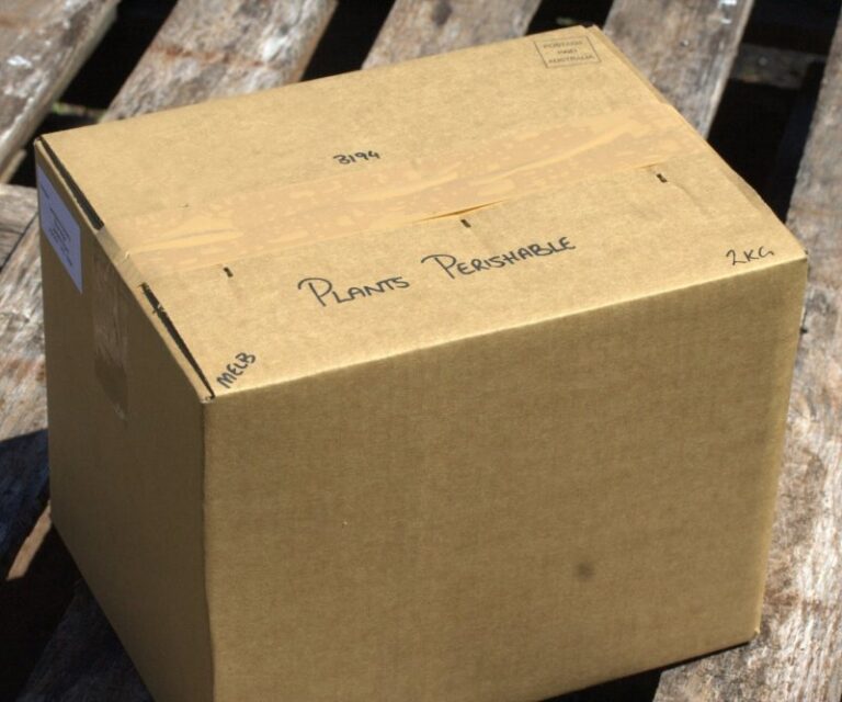 Ordering - Lambley Nursery